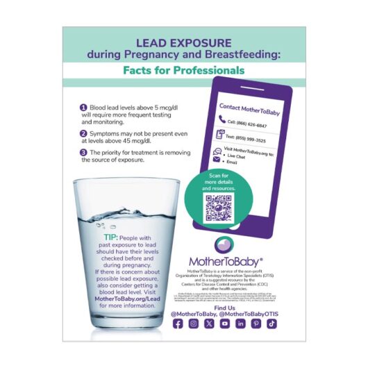 Lead Exposure Rack Card – PDF - MotherToBaby